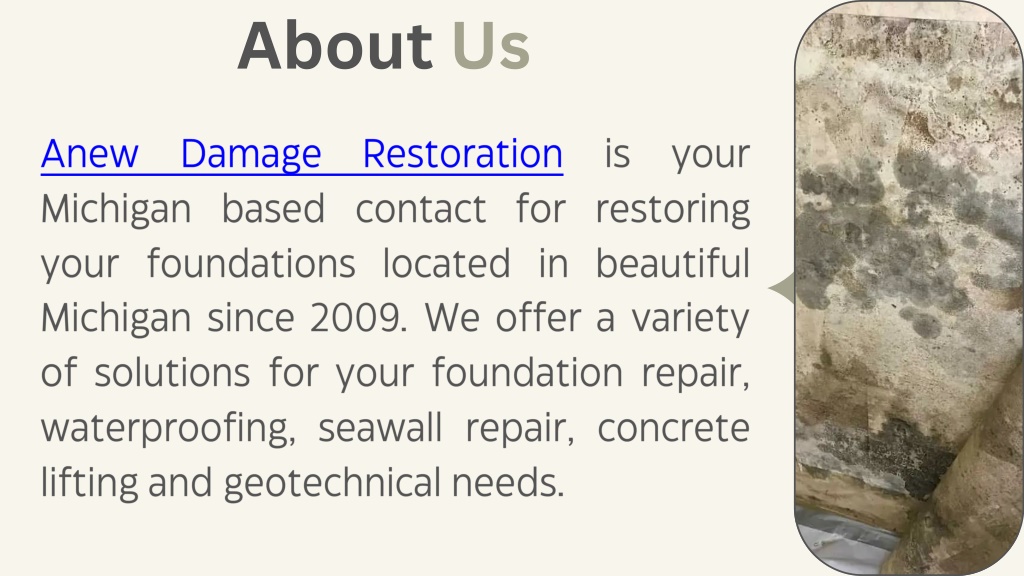 PPT - Black Mold Removal Michigan - Anew Damage Restoration PowerPoint ...