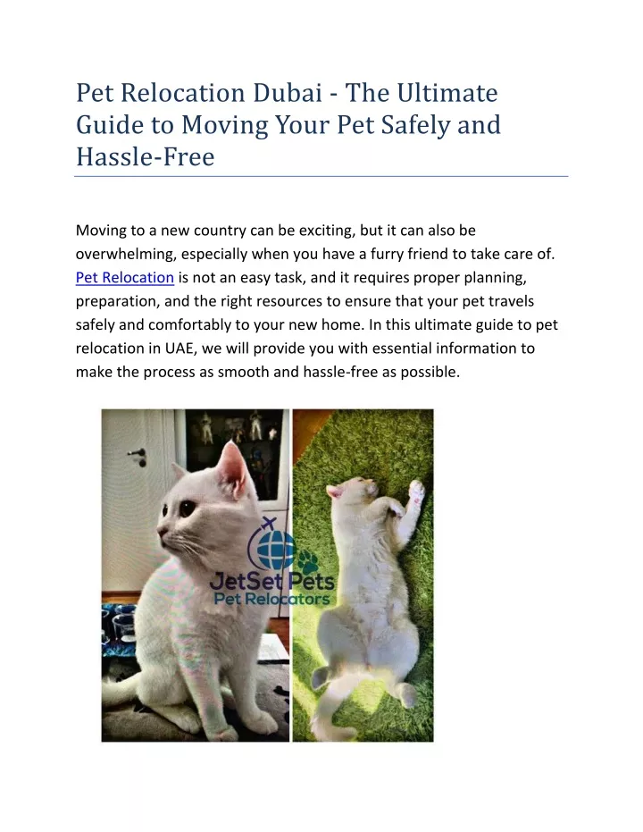 PPT - Pet Relocation Dubai - The Ultimate Guide to Moving Your Pet ...