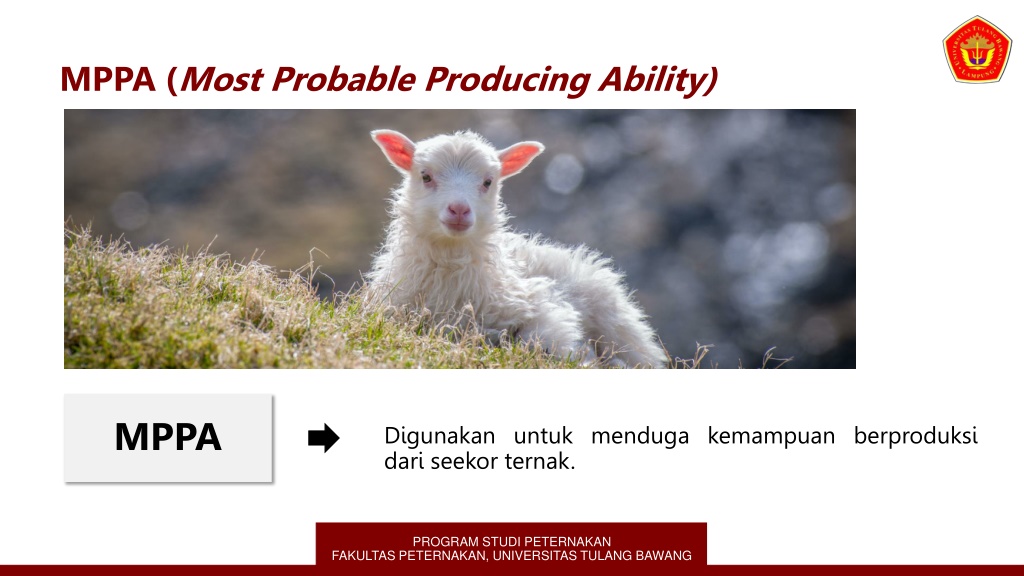 PPT - Korelasi Genetik, Nilai Pemuliaan, dan MPPA - Materi Pemuliaan ...