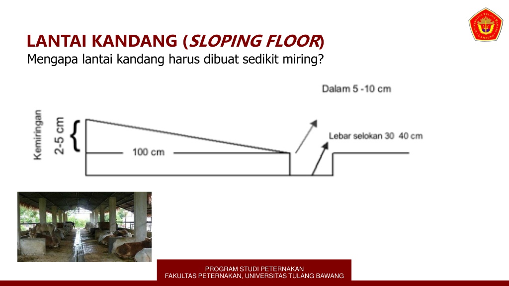 PPT - Penanganan Limbah Peternakan - Materi Teknologi Feedlot PowerPoint Presentation - ID:12083501