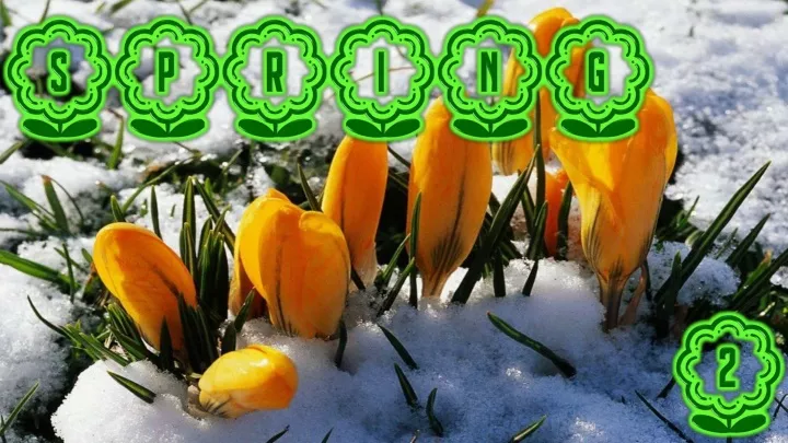 PPT - Jaro - Spring (Anna - Dorota) 2 PowerPoint Presentation, free ...