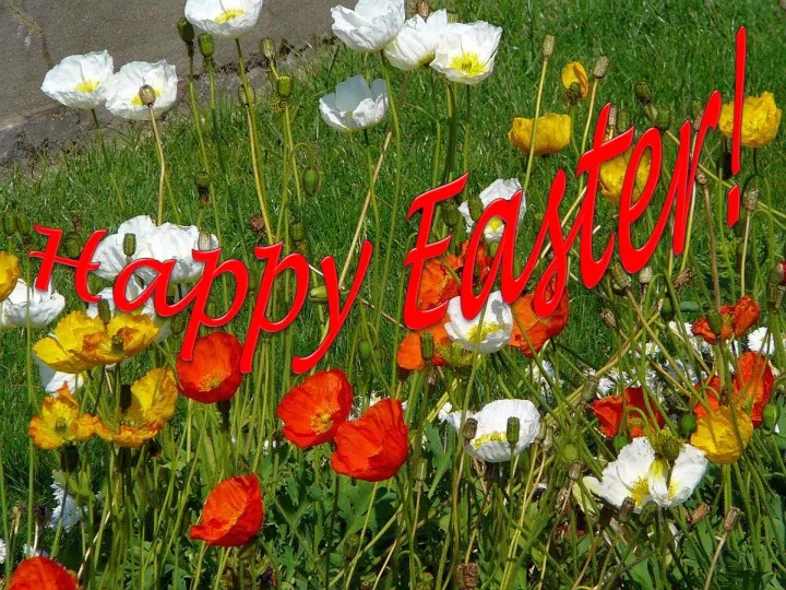 PPT - Happy Easter! PowerPoint Presentation, free download - ID:12097995