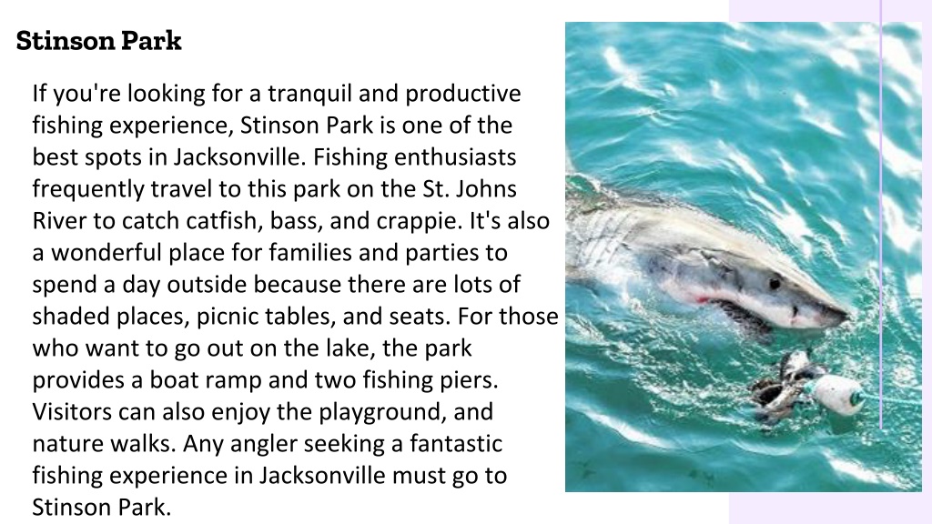 PPT - Best Fishing Spots in Jacksonville PowerPoint Presentation, free download - ID:12098267
