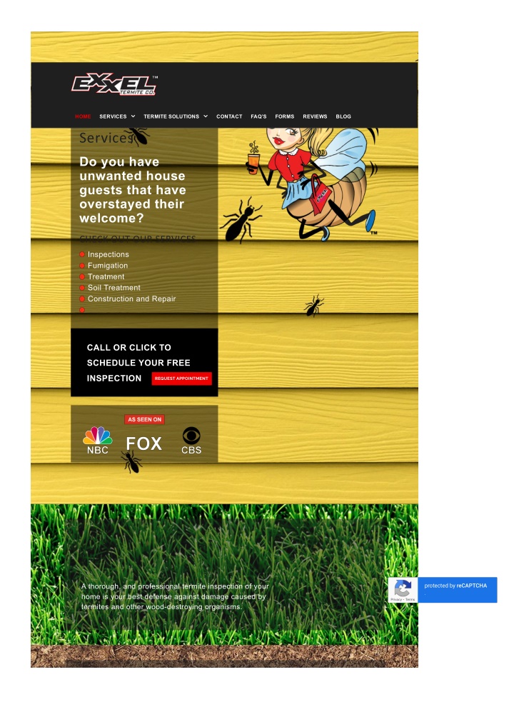 PPT - Exxel termite PowerPoint Presentation, free download - ID:12100431