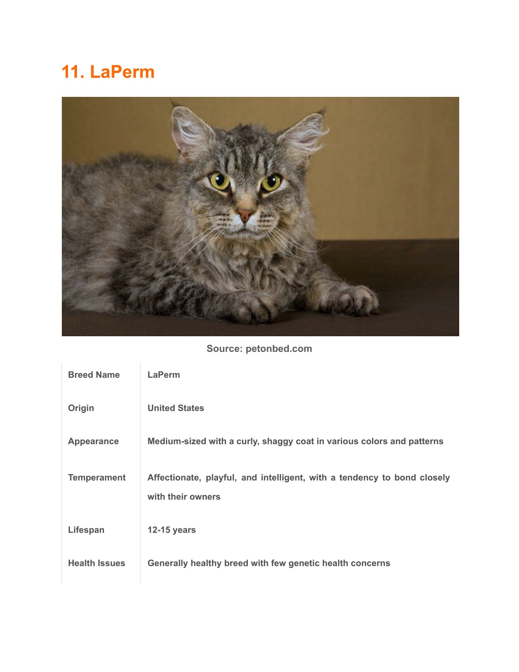 PPT - 15 Grey Cat Breeds Most Famous Gray Cats PowerPoint Presentation ...