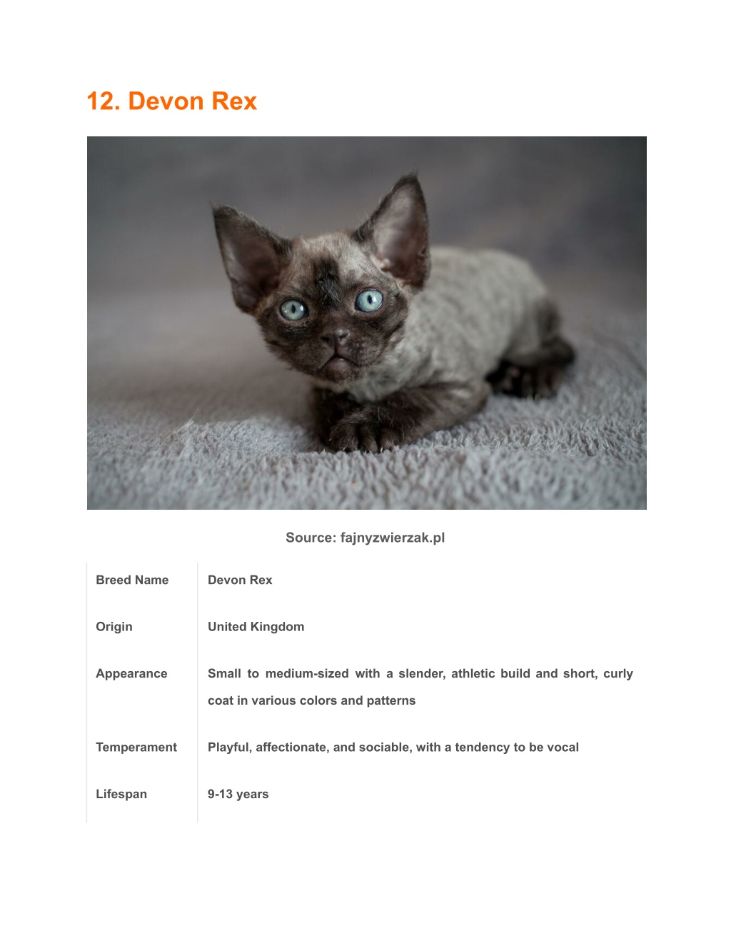 PPT - 15 Grey Cat Breeds Most Famous Gray Cats PowerPoint Presentation ...