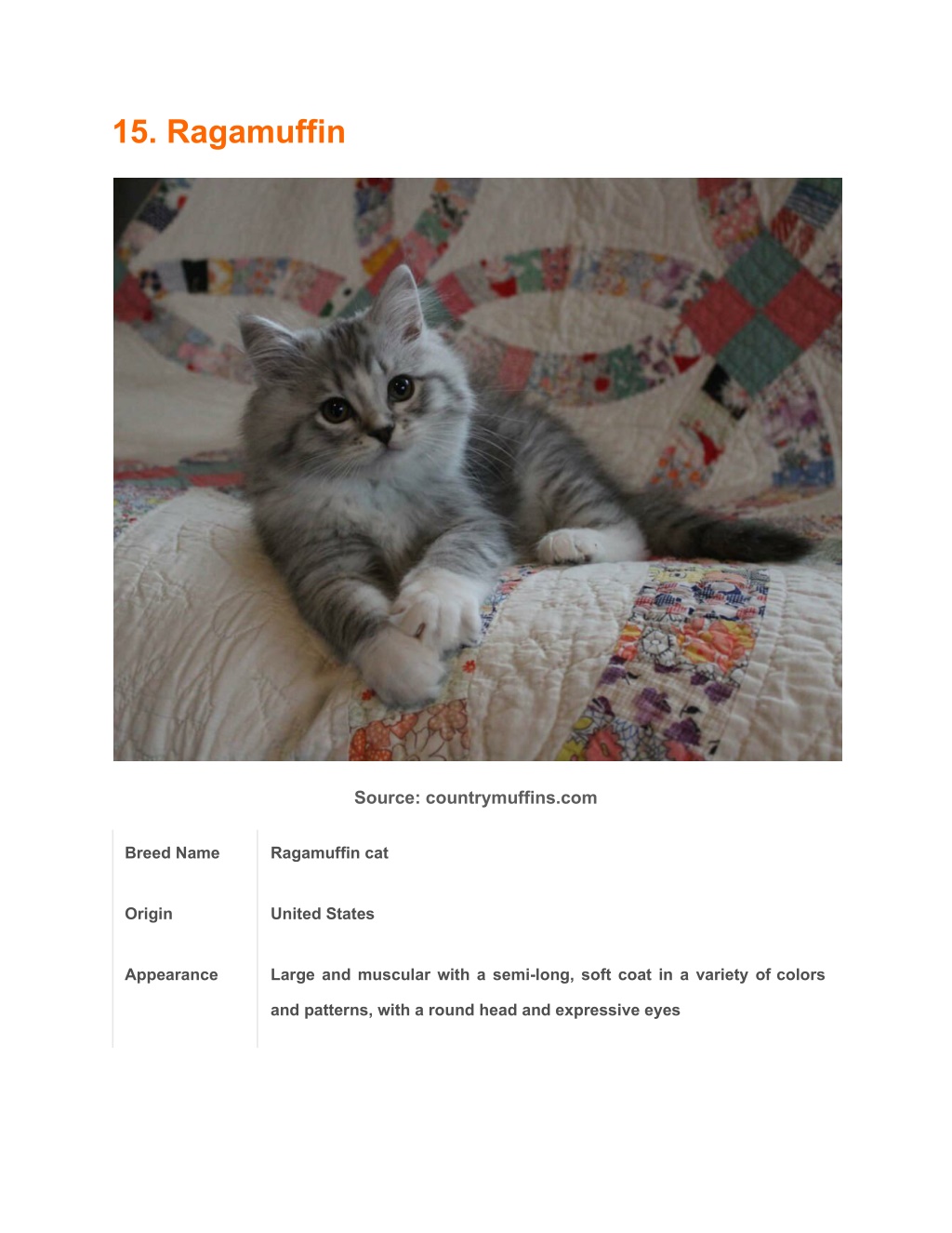 PPT - 15 Grey Cat Breeds Most Famous Gray Cats PowerPoint Presentation ...