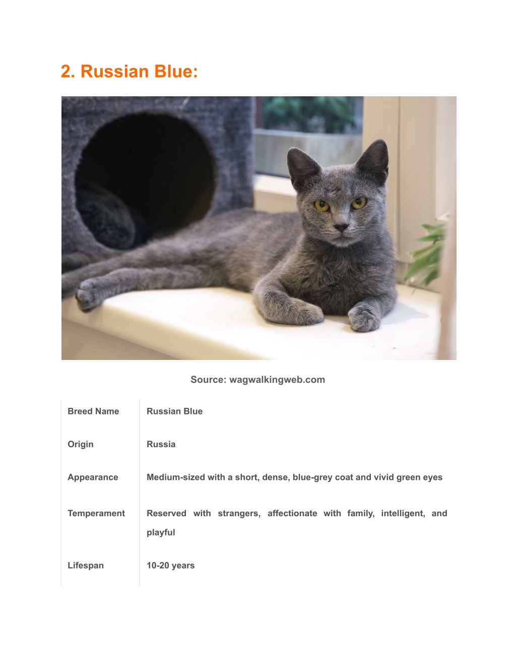PPT - 15 Grey Cat Breeds Most Famous Gray Cats PowerPoint Presentation ...
