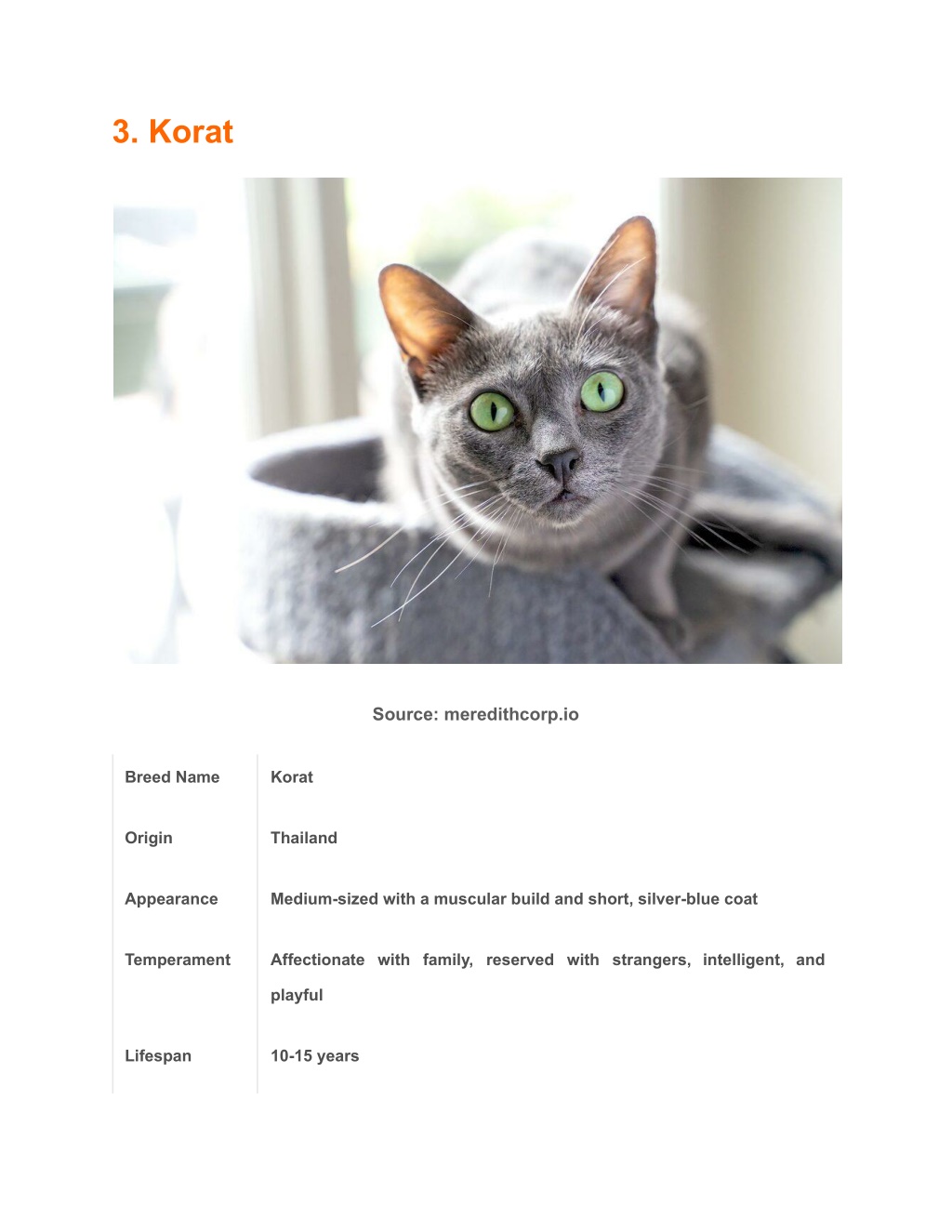 PPT - 15 Grey Cat Breeds Most Famous Gray Cats PowerPoint Presentation ...