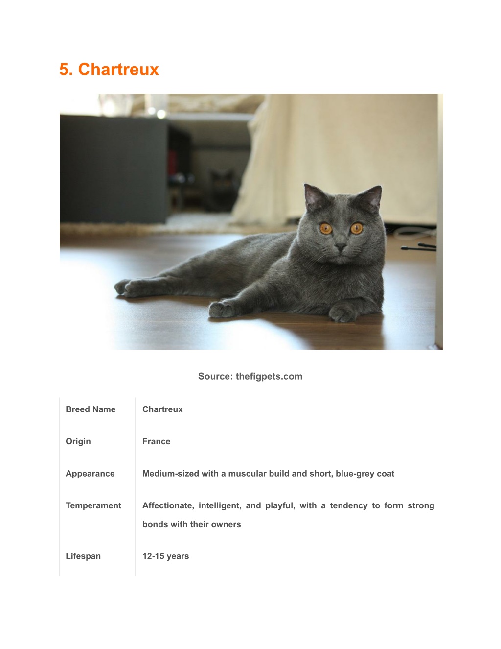 PPT - 15 Grey Cat Breeds Most Famous Gray Cats PowerPoint Presentation ...