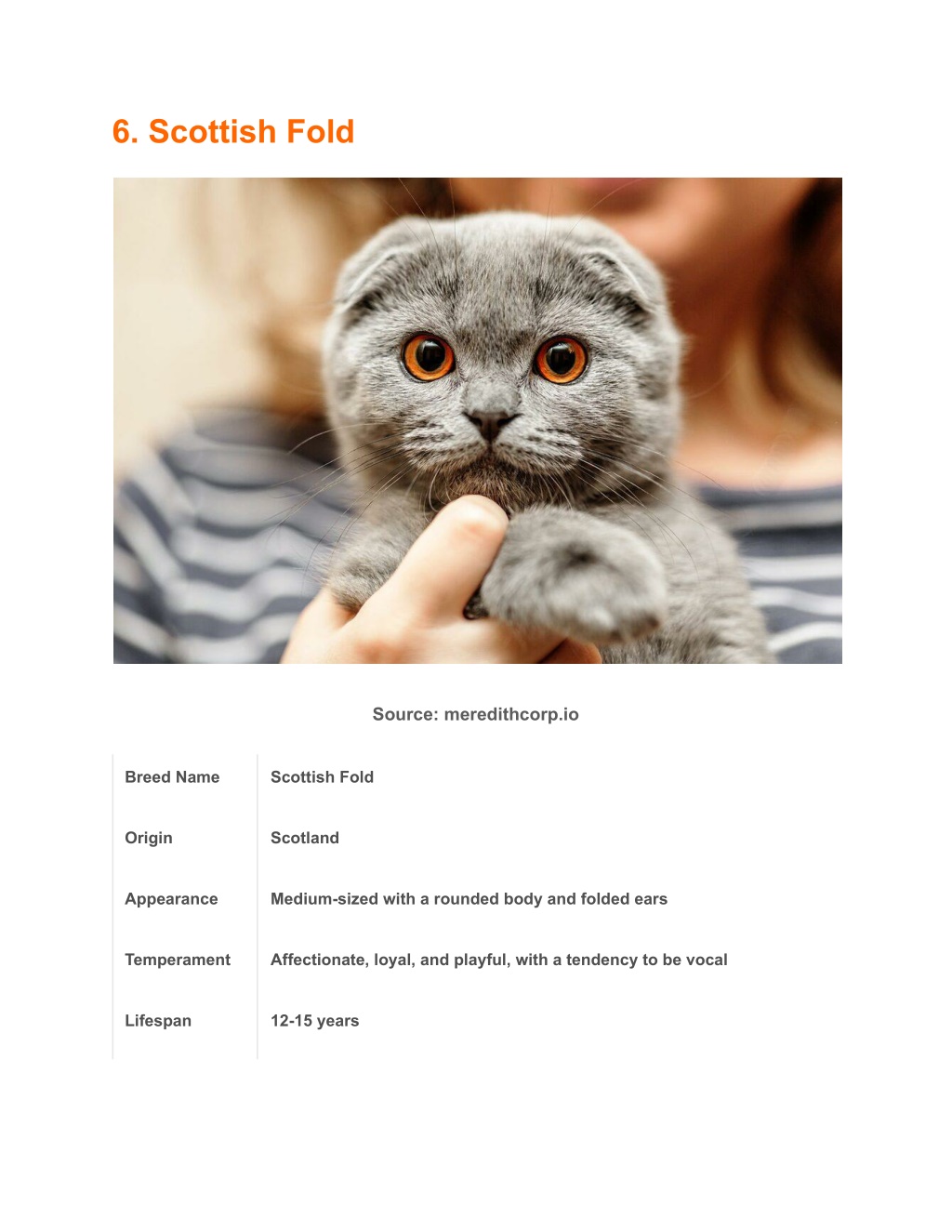 PPT - 15 Grey Cat Breeds Most Famous Gray Cats PowerPoint Presentation ...