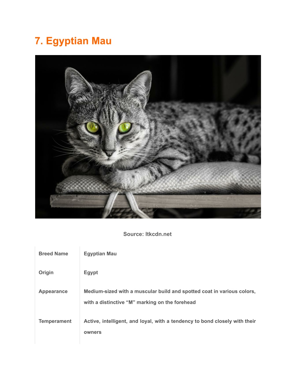 PPT - 15 Grey Cat Breeds Most Famous Gray Cats PowerPoint Presentation ...