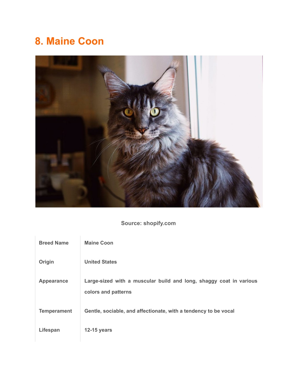 PPT - 15 Grey Cat Breeds Most Famous Gray Cats PowerPoint Presentation ...