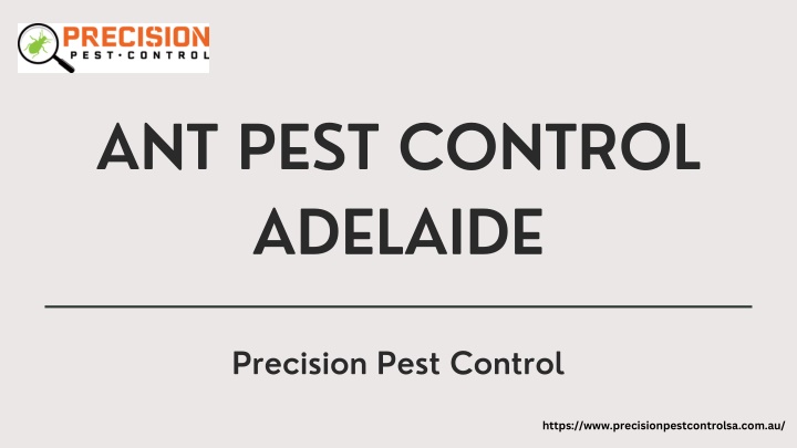 PPT - Termite Treatment Adelaide | Precision Pest Control in AU PowerPoint Presentation - ID ...