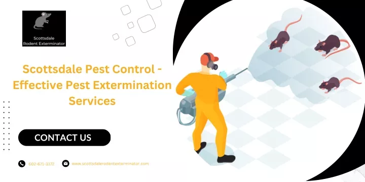 PPT - Scottsdale Pest Control - Effective Pest Extermination Services ...