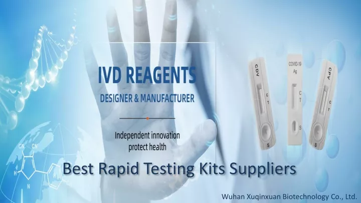 PPT - Best Rapid Testing Kits Suppliers PowerPoint Presentation, free ...