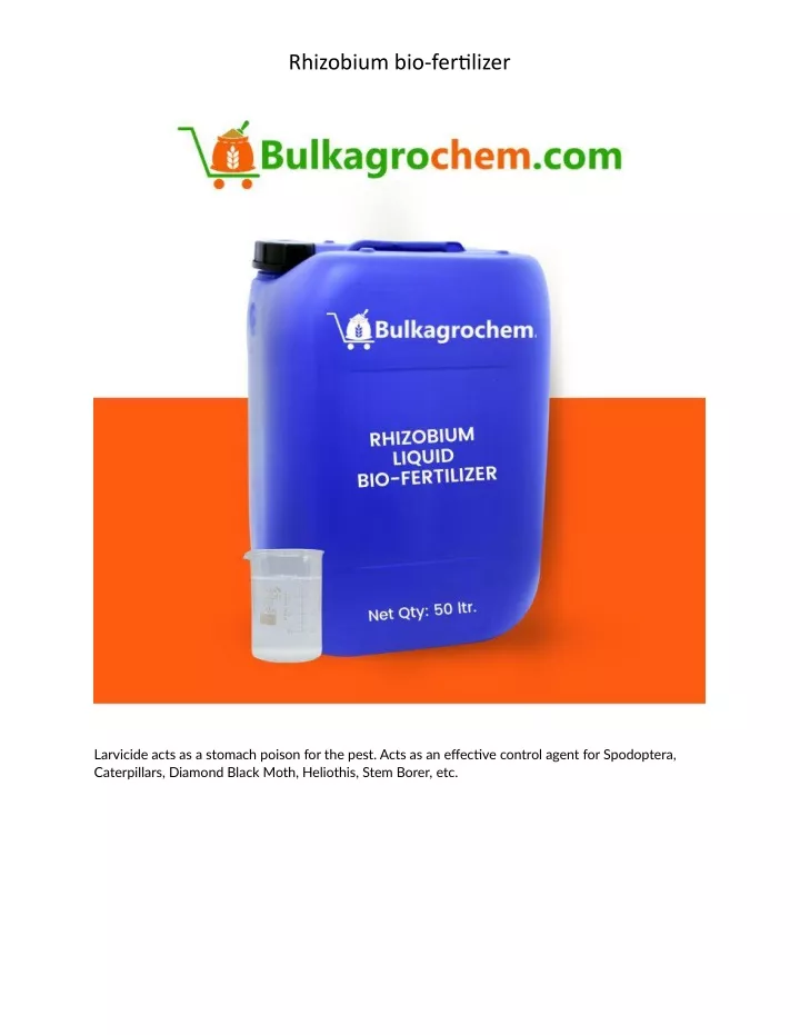 PPT - Rhizobium PowerPoint Presentation, free download - ID:12114491